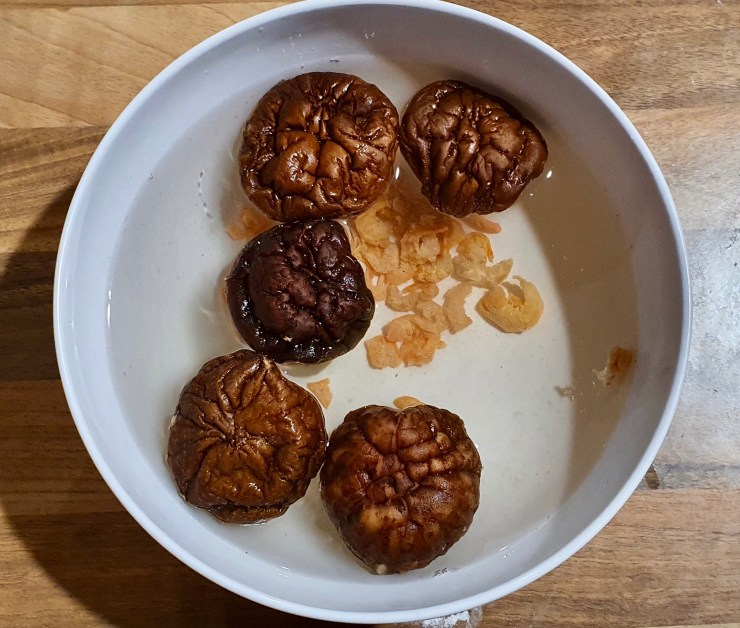 Radish/Turnip Cake 蘿蔔糕 (Luo Buo Gao/Lo Bak Go) – Polyphagic Abby