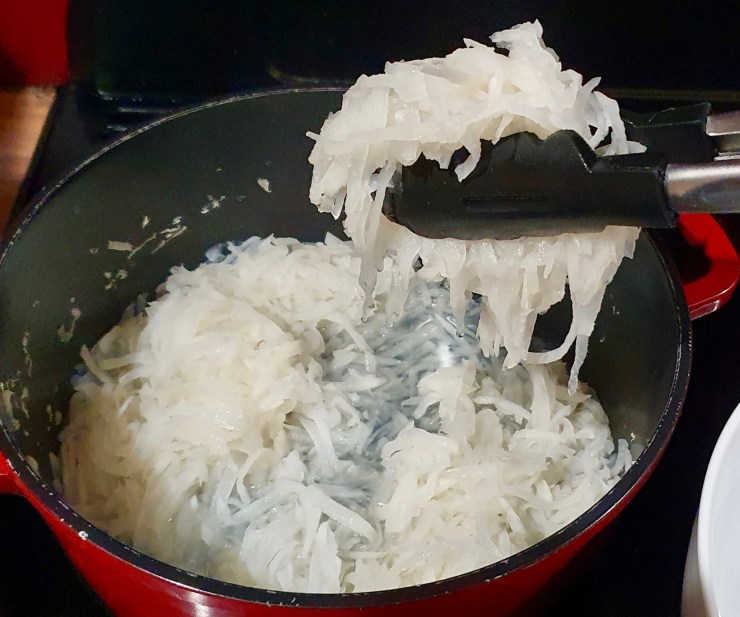 Radish/Turnip Cake 蘿蔔糕 (Luo Buo Gao/Lo Bak Go) – Polyphagic Abby