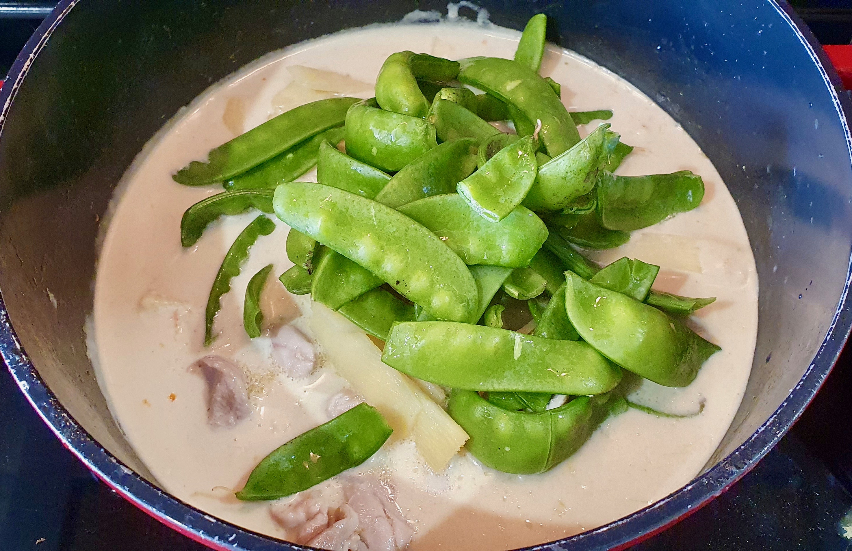 Chicken Lychee Thai Red Curry – Polyphagic Abby