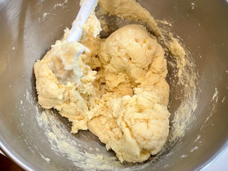 Czech Potato Dumplings – Bramborové Knedlíky – Polyphagic Abby