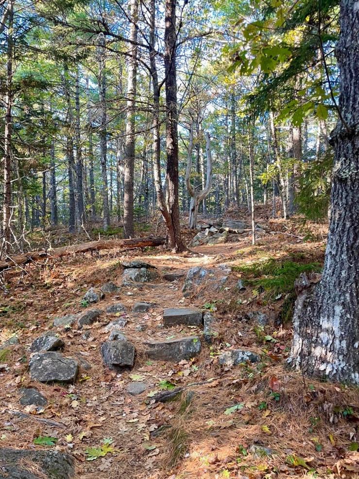 Mount Battie and Megunticook: Your Camden Hiking Guide – Polyphagic Abby