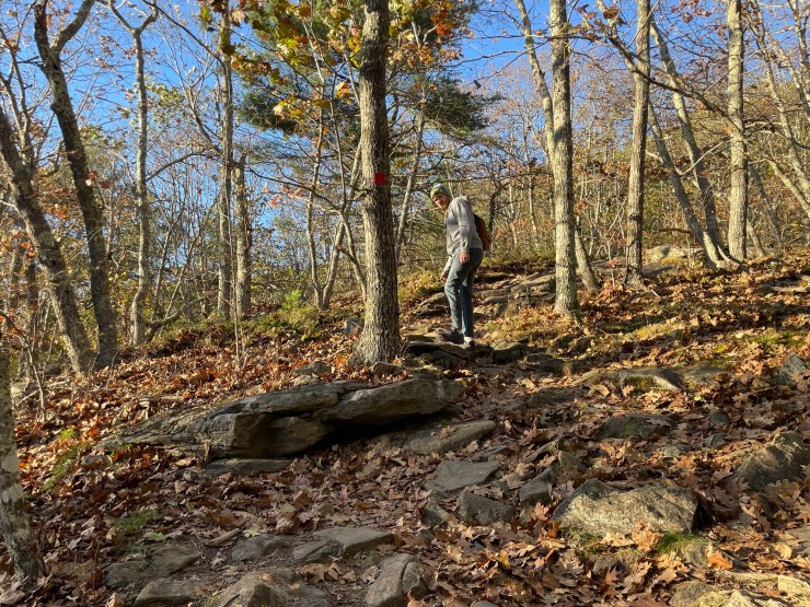Mount Battie and Megunticook: Your Camden Hiking Guide – Polyphagic Abby
