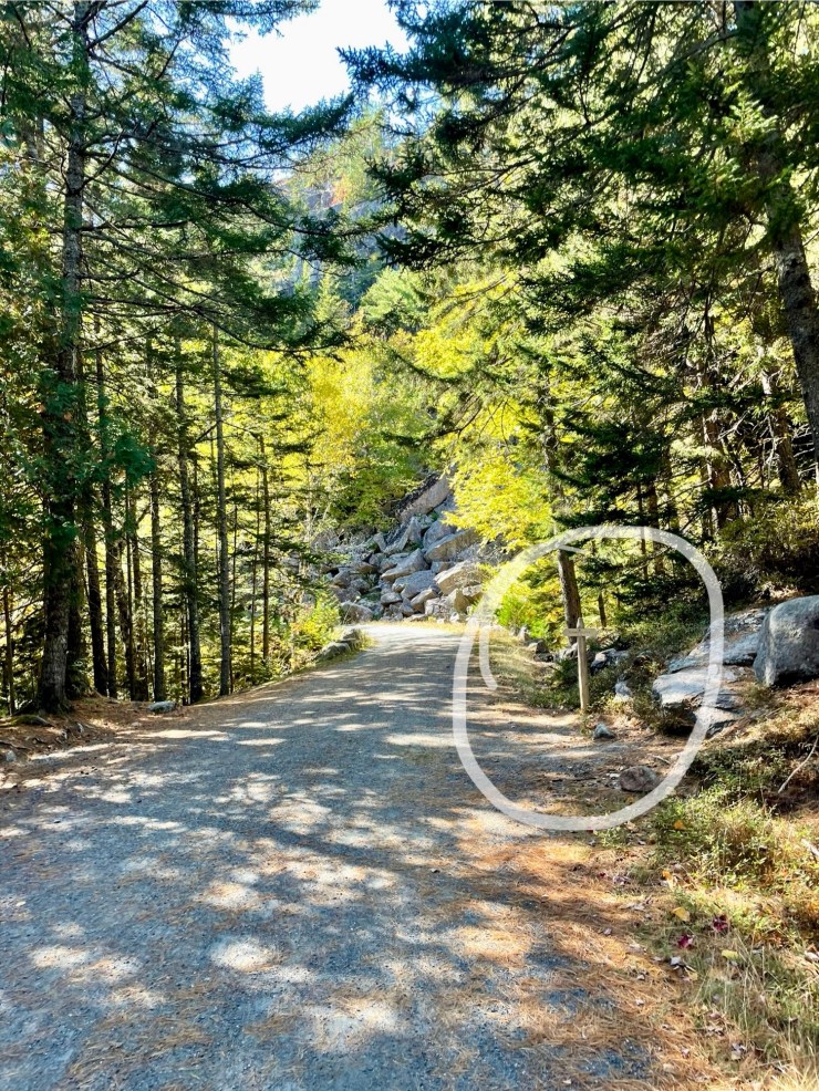 Explore Acadia’s Jordan Pond: Most Popular Trails & Jordan Pond House ...