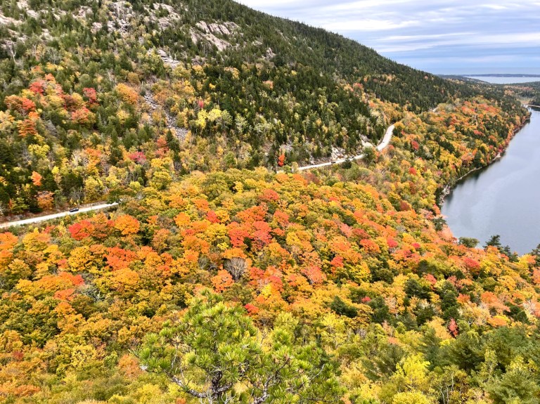 Discover Acadia National Park: Your Guide to Mount Desert Island ...